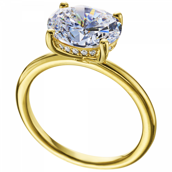 Hidden Diamond Halo Engagement Ring – https://dcjltd.com/